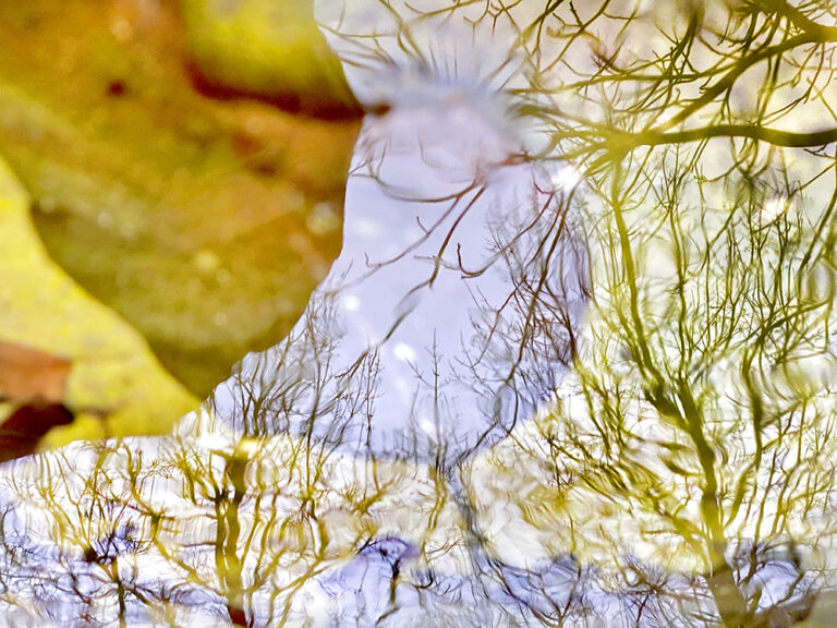 rené spalek photography • frankfurt – people • architectures ...